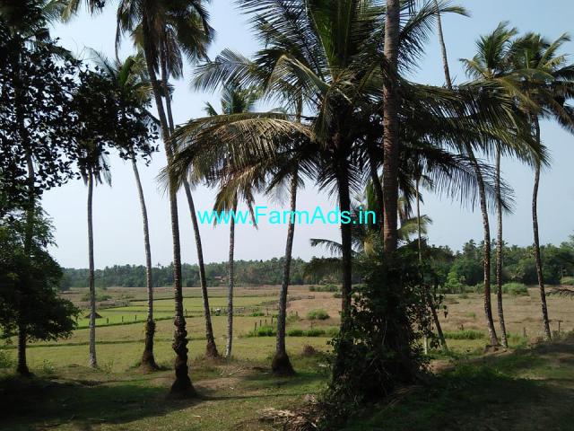 3 Acre Farm Land plot for sale at Nakre, Karkala, Udupi. Karkala ...