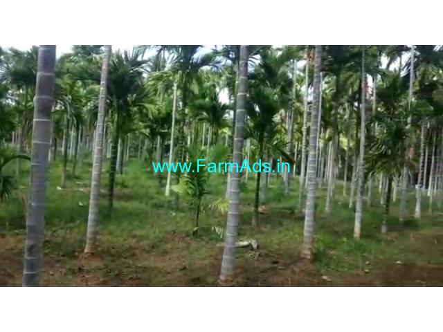 12 acres Coconut Arecanut plantation for sale Near Gudihalli, Hiriyur ...
