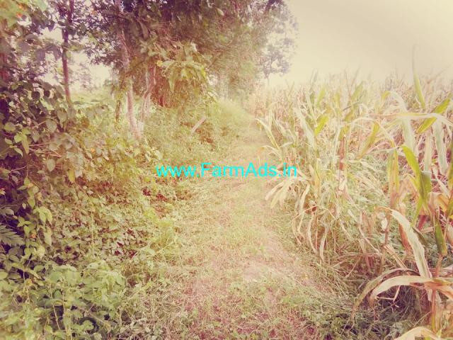 1.50 Acres Green belt Farm land for sale near Bailkuppe Golden Temple ...