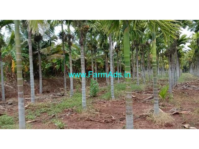 4 Acres Arecanut coconut plantation for sale Near VVS dam, Hiriyur ...