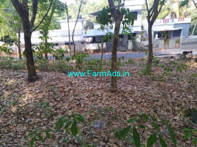 40 Cents Agriculture Land for Sale Near Kazhakootam Thiruvananthapuram ...