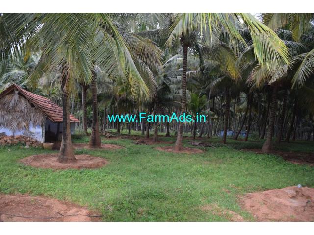 3.65 acres coconut farm for sale at pollachi Pollachi - Coimbatore ...