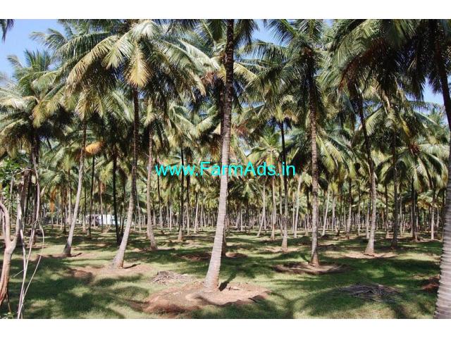 Pollachi good water source coconut farm and agricultural land for sale ...