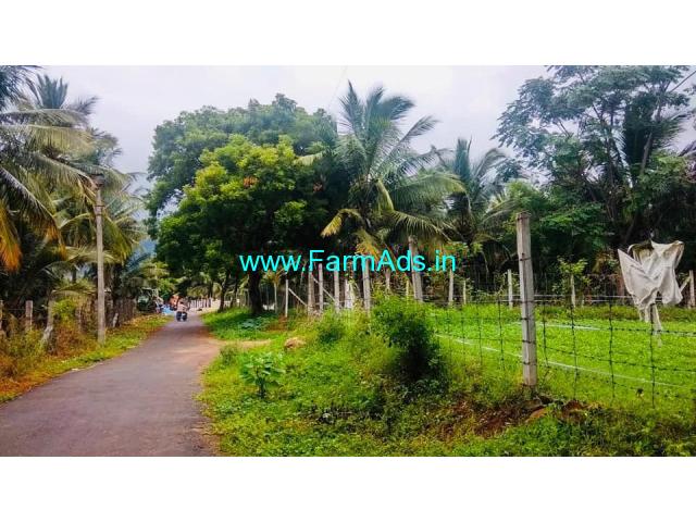 Pollachi good water source coconut farm and agricultural land for sale ...