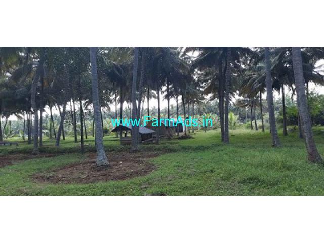 4 Acre Farm land for sale at Pollachi Pollachi - Coimbatore - FarmAds.in