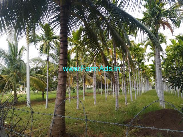 8.20 Acres maintained Areca plantation sale for in sira Town. Sira ...