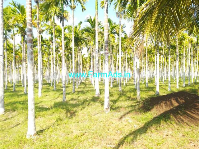 8.20 Acres maintained Areca plantation sale for in sira Town. Sira ...