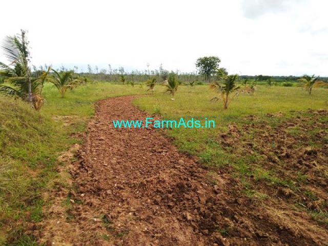 Agriculture land Sale near Sira Town Sira - Tumkur - FarmAds.in