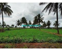 Farm Land Srinivaspur - Kolar - FarmAds.in