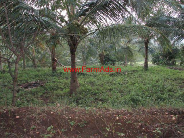 10 Acres Agriculture land for sale at Agali - Attappady Palakkad ...