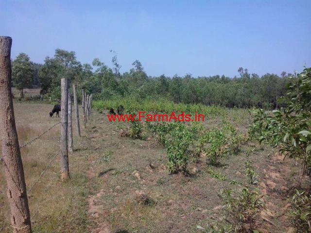 2 Acre Agricultural Land Near Sagar-Talguppa Shimoga Dist for Sale ...