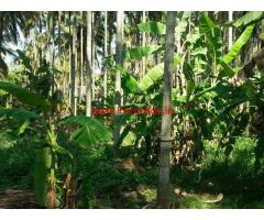 30 acre arecanut coconut plantation for sale in Chikkamagalur Kadur ...