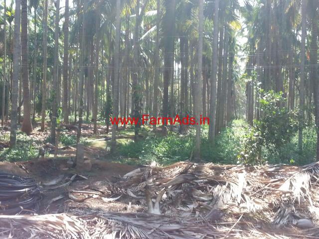 30 acre arecanut coconut plantation for sale in Chikkamagalur Kadur ...