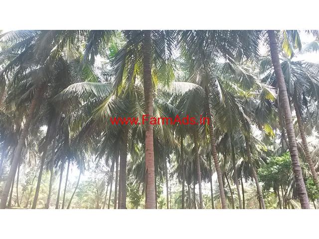 4 acres Coconut and Teak wood farm for sale at Madepura - FarmAds.in