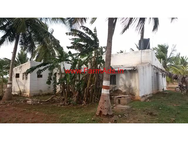 21 acres Coconut farm for sale at Begur - Mysore Mysore - FarmAds.in
