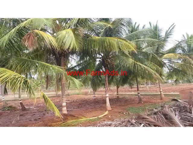 21 acres Coconut farm for sale at Begur - Mysore Mysore - FarmAds.in