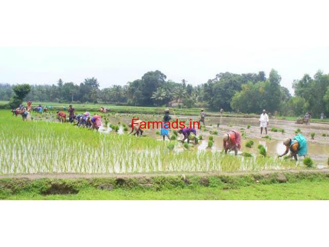 7 Acres Agriculture and forest land - Hebri Udupi Udupi - FarmAds.in