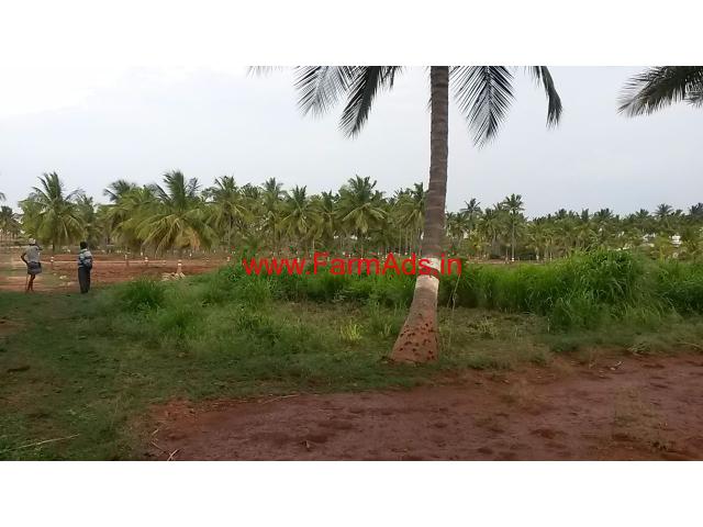 46 km from Mysore 21 acres Coconut farm at Begur Mysore - FarmAds.in