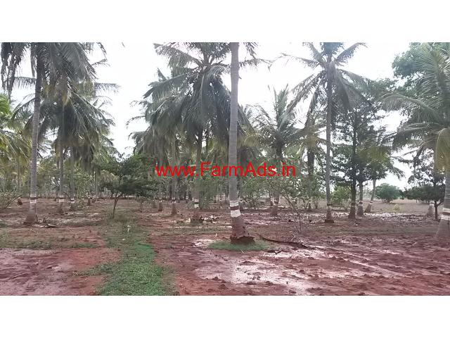 46 km from Mysore 21 acres Coconut farm at Begur Mysore - FarmAds.in