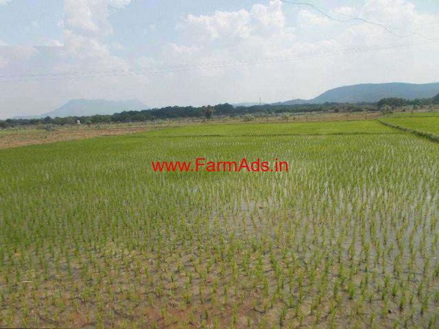 2 Acres Agriculture Land for sale at Thally near Hosur Denkanikottai ...