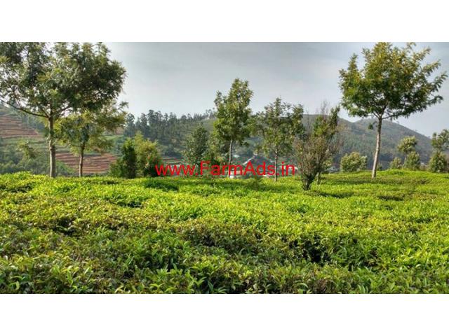 1.25 Acres Beautiful Tea Estate for sale near Doddabetta - Ooty Ooty ...