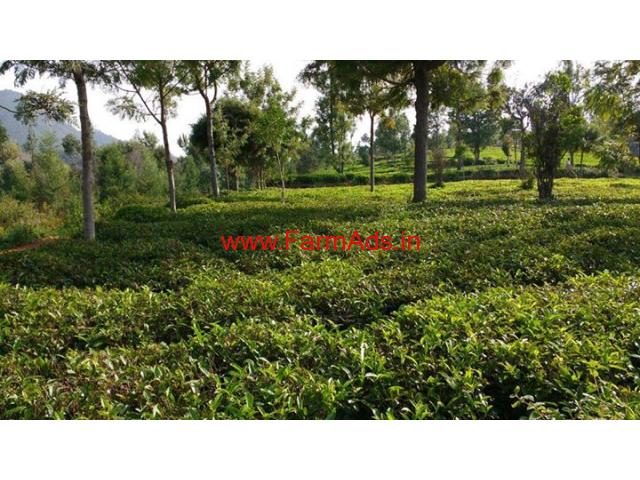 1.25 Acres Beautiful Tea Estate for sale near Doddabetta - Ooty Ooty ...