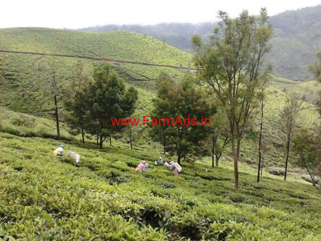 27 Acres well maintained tea estate for Sale at Coonoor, Ooty Coonoor ...