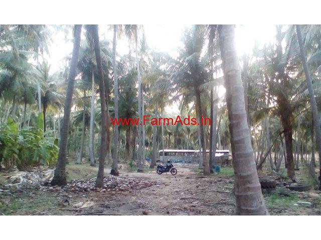 8 Acres Coconut Farm for sale Nadupuni-Pollachi State Highway Pollachi ...