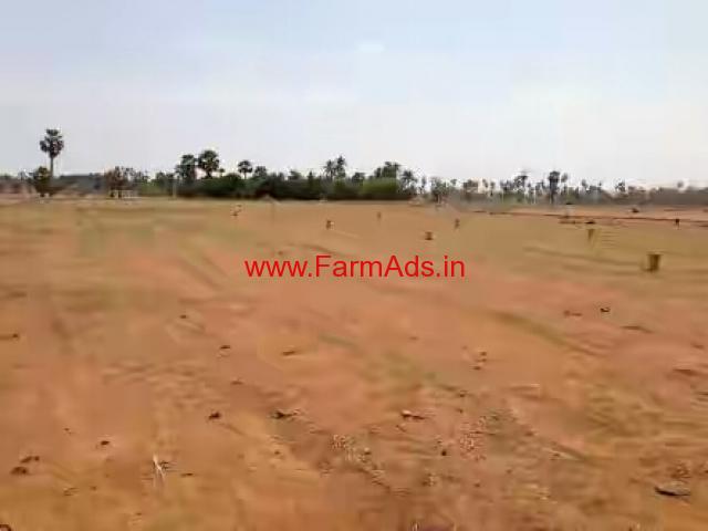 3 acers agriculture land at Kasinayana mandal - Kadapa Kadapa (Cuddapah ...