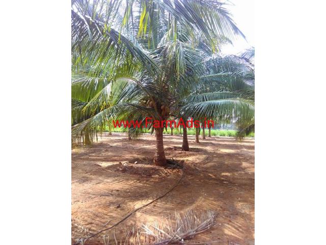 6.5 Acres Coconut Farm with Farm House for sale in Patapampati ...