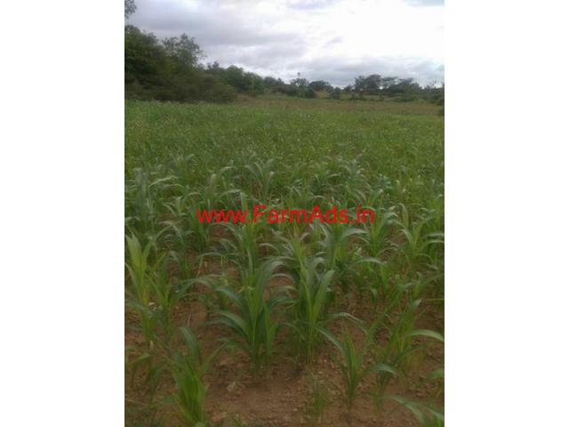 30 Acres Farm Land for sale in Palacode - Dharmapuri Palakkodu ...
