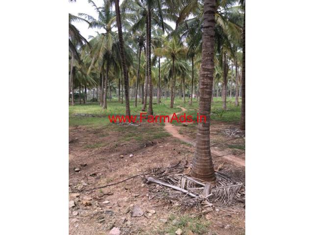 16 Acres Coconut Farm for sale on Pollachi - Udumalpet main road ...