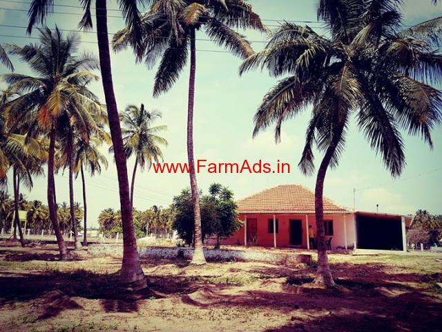 3 acre Coconut farm with farm house for sale near Gomangalam Pollachi ...