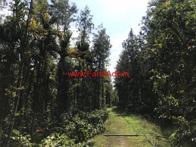 3.28 acres multi crop plantation for sale at Chikmagalur Chikmagalur ...
