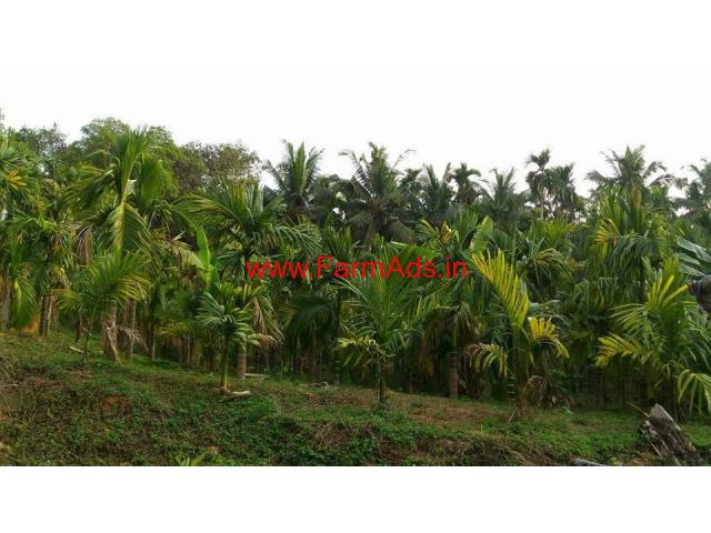 4 Acres Areca Farm for sale at Perinje - Mangalore Mangalore - Dakshin ...