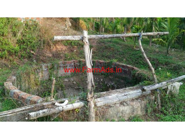 4 Acres Areca Farm for sale at Perinje - Mangalore Mangalore - Dakshin ...