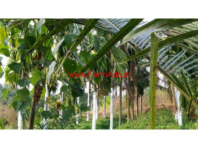 4 Acres Areca Farm for sale at Perinje - Mangalore Mangalore - Dakshin ...