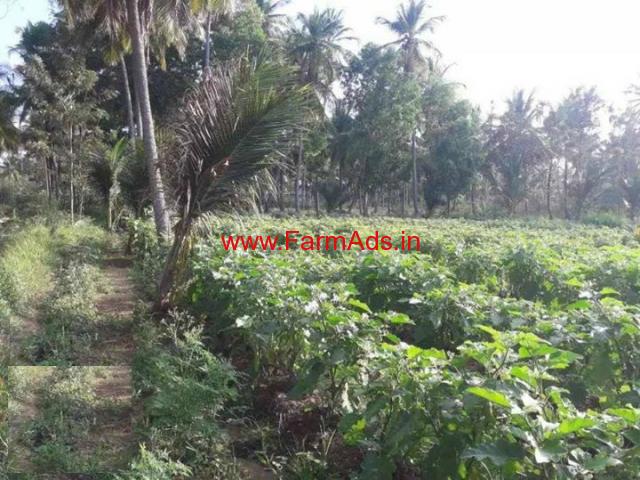 3 acre single plot agricultural land for sale near channrayapatna ...
