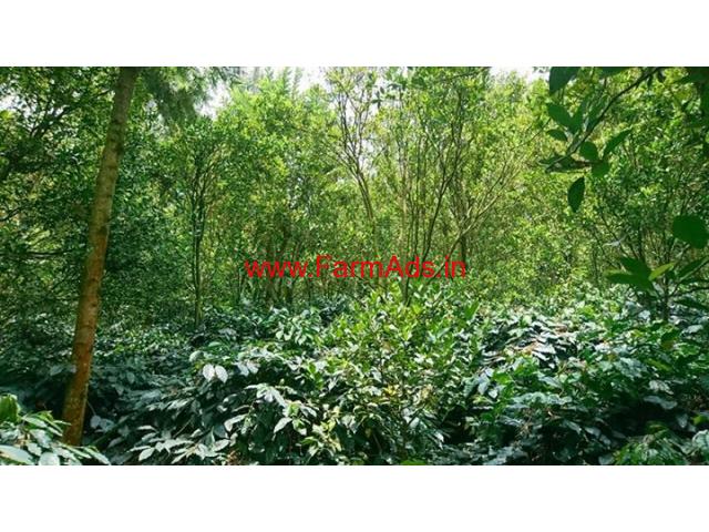 7.5 Acres Well maintained Coffee farm land for sale at Kodaikanal ...